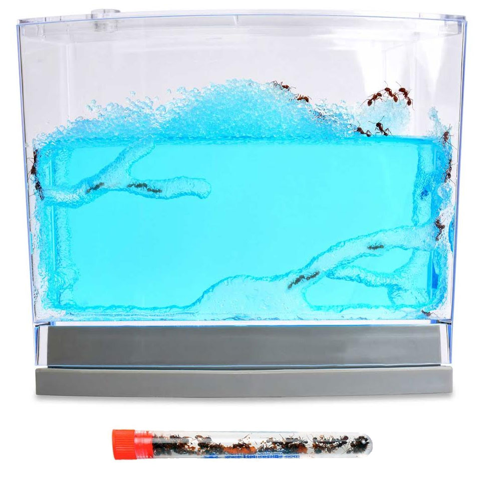 AntWorks Space-Age Ant Gel Farm: BLUE