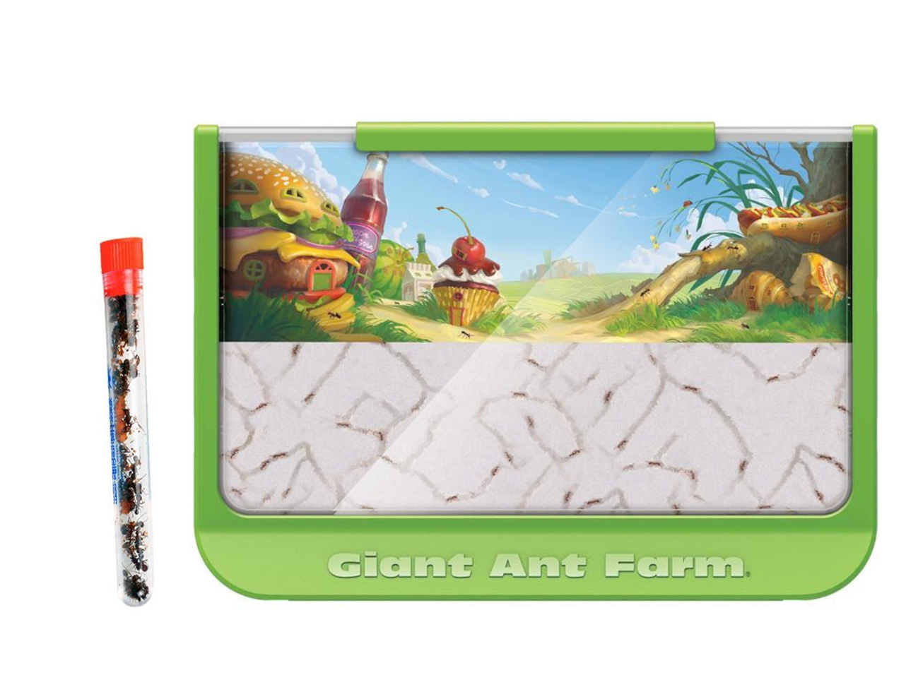 Ant Farms - Our Ant Farms are Fun and Educational!