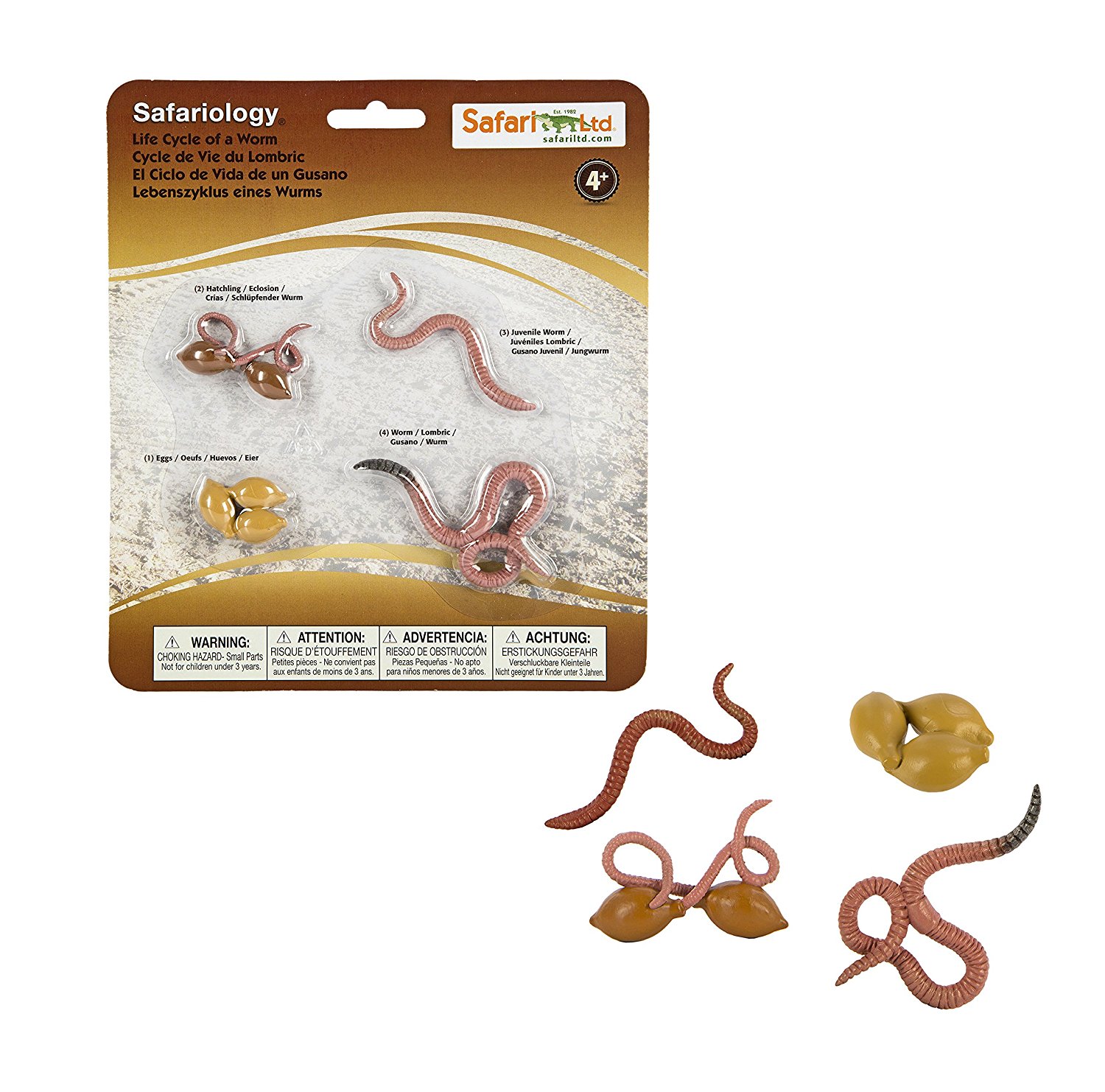 Worm Farm Kits For Kids to Observe the Amazing World of Worms Close Up!